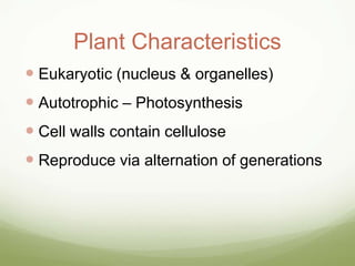 Kingdom plantae introduction | PPTX