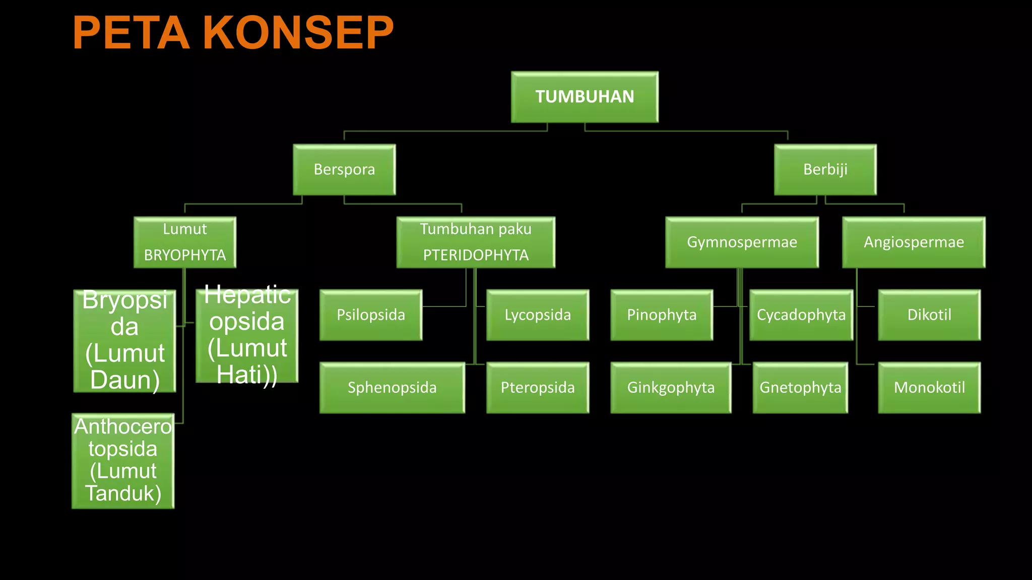 Kingdom plantae part 1 | PPTX