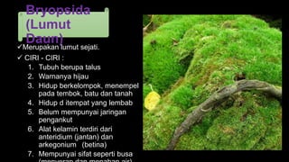 Kingdom plantae part 1 | PPT