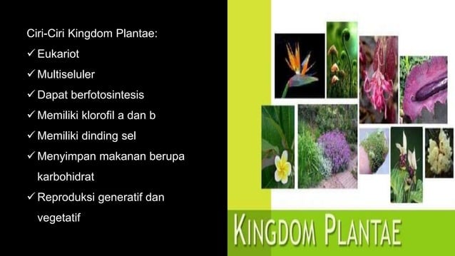 Kingdom plantae part 1 | PPT