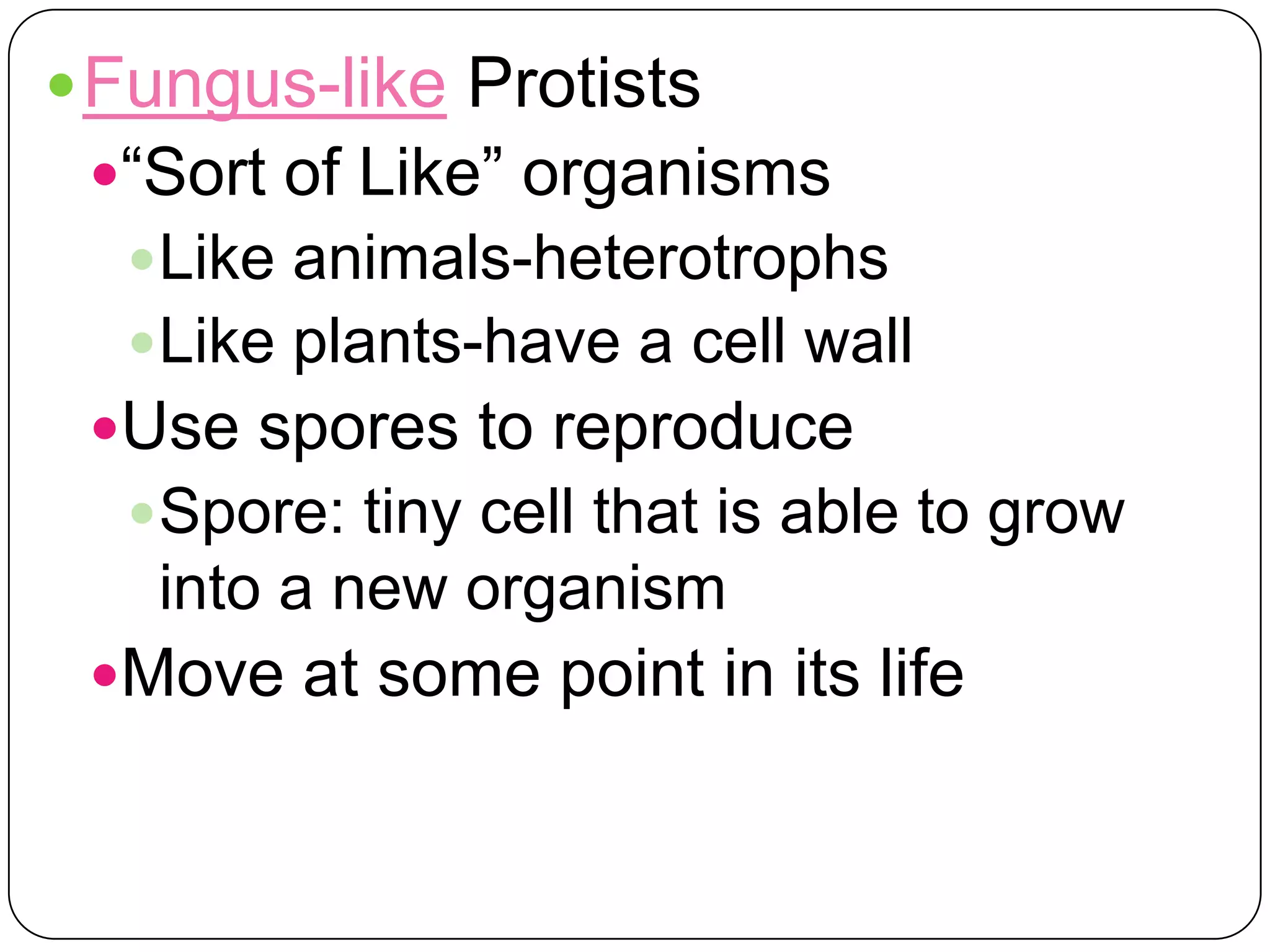 Kingdom Protista | PPTX
