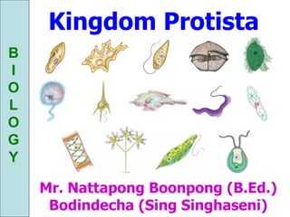 Protist Pictures And Names