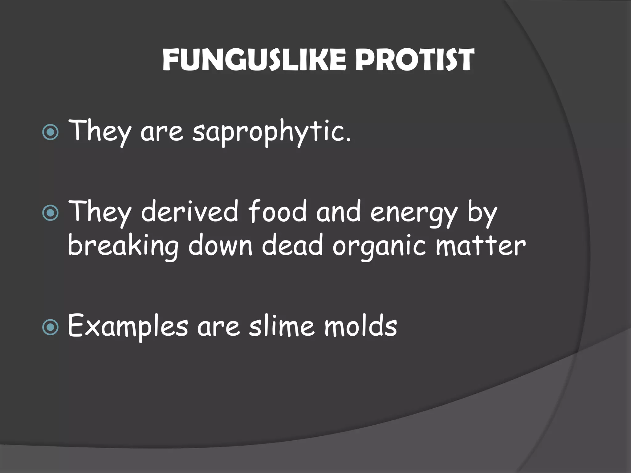 Kingdom protista | PPT