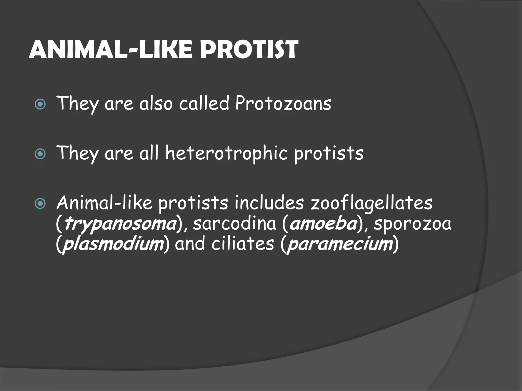 Kingdom protista | PPT