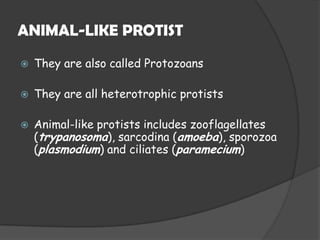 Kingdom protista | PPT