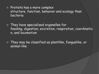 Kingdom protista | PPT