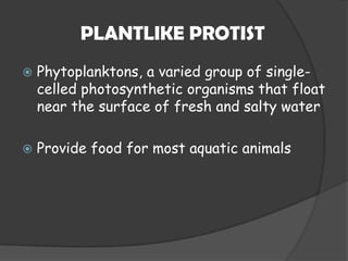 Kingdom protista | PPT