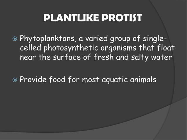 Kingdom protista | PPT