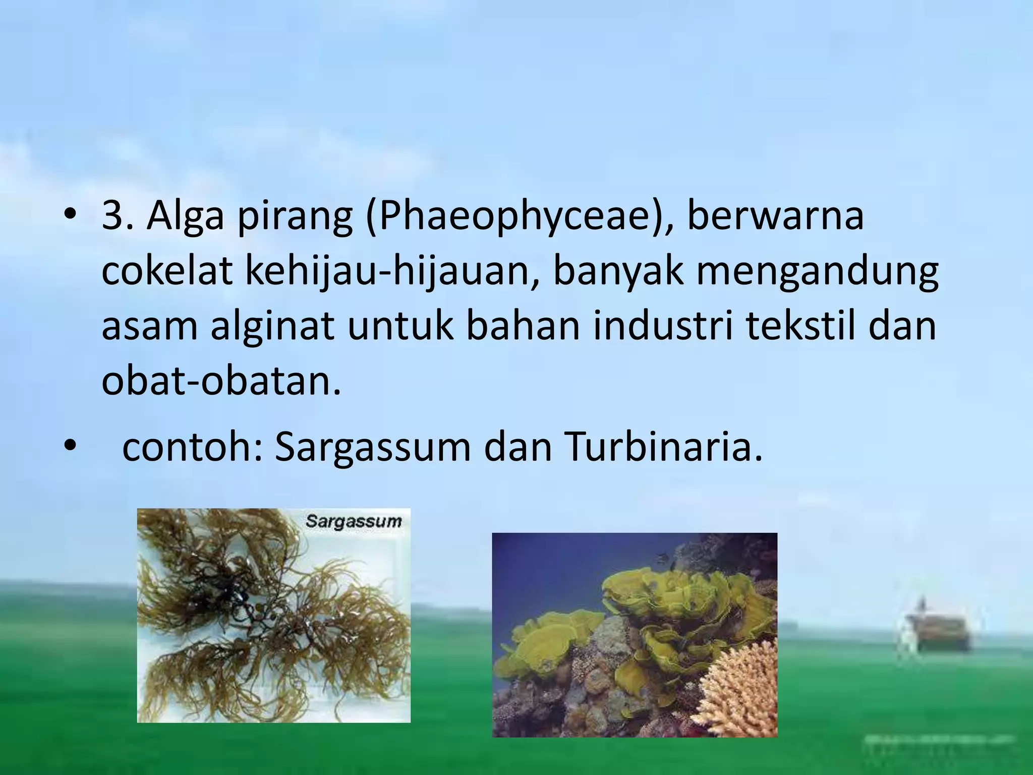 Kingdom protista | PPTX