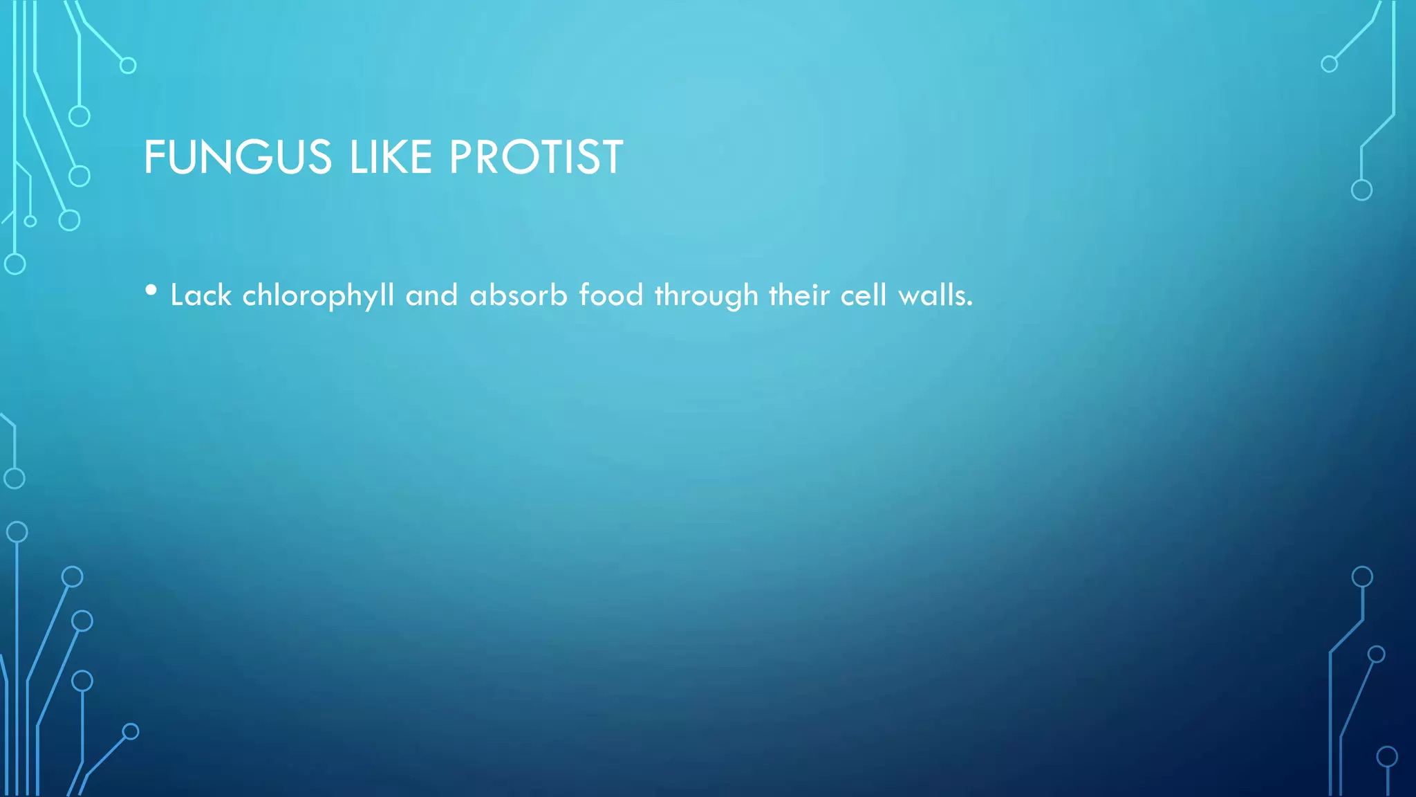 Kingdom protista | PPTX