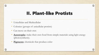 Taxonomy: Kingdom Protista | PPTX