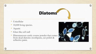 Taxonomy: Kingdom Protista | PPTX