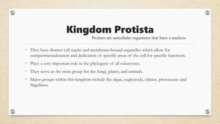 Taxonomy: Kingdom Protista | PPTX