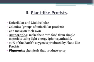 Kingdom protista | PPTX