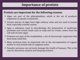 Kingdom Protista | PPTX