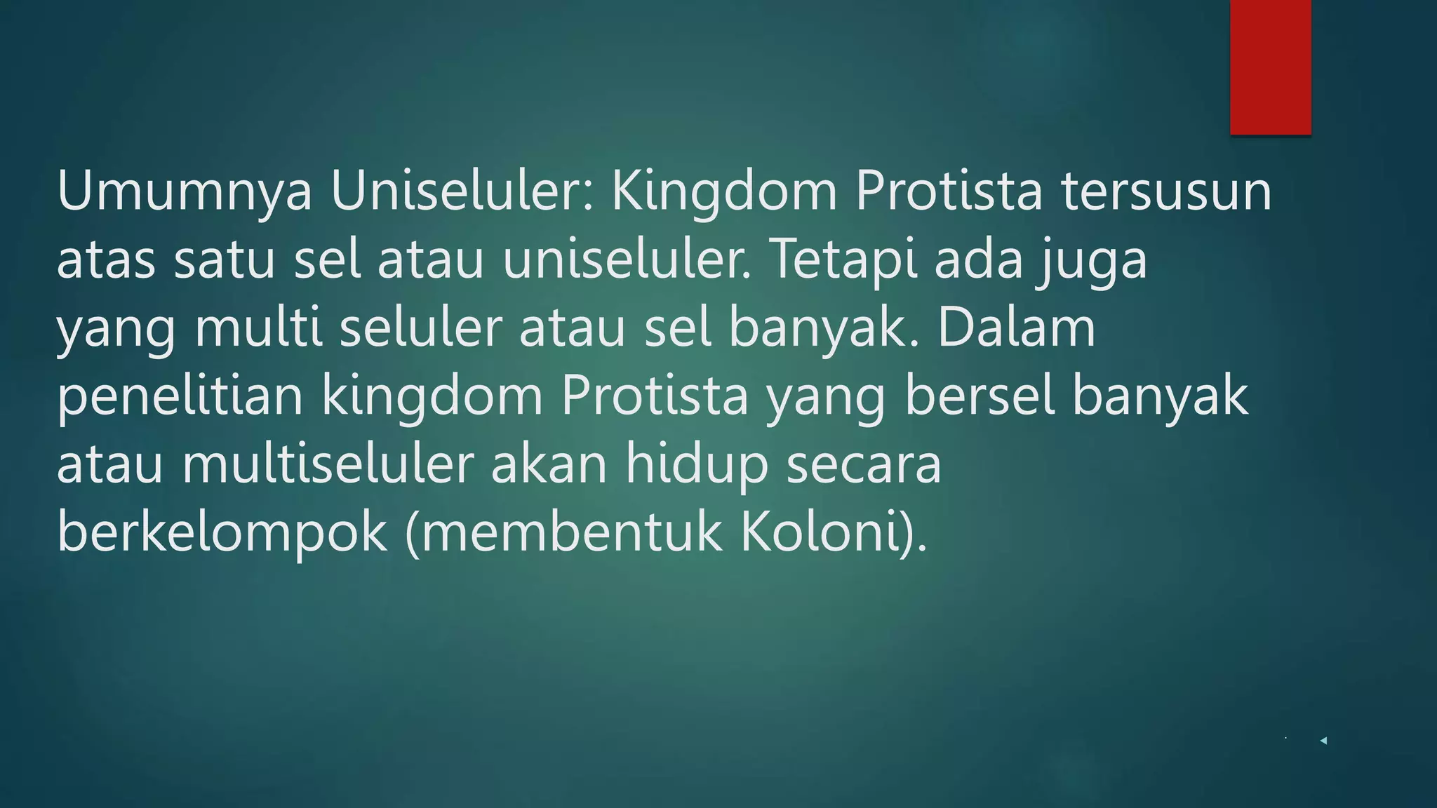 Kingdom Protista.pptx