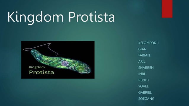 Kingdom Protista.pptx