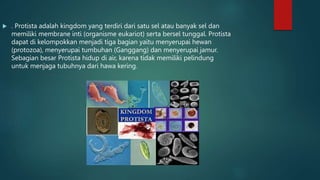 Kingdom Protista.pptx