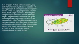 Kingdom Protista.pptx
