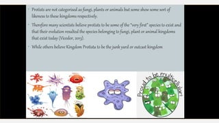 Kingdom Protista.pptx