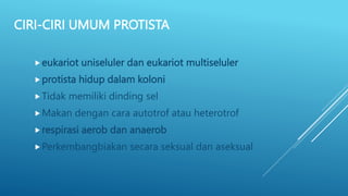 Kingdom Protista.pptx