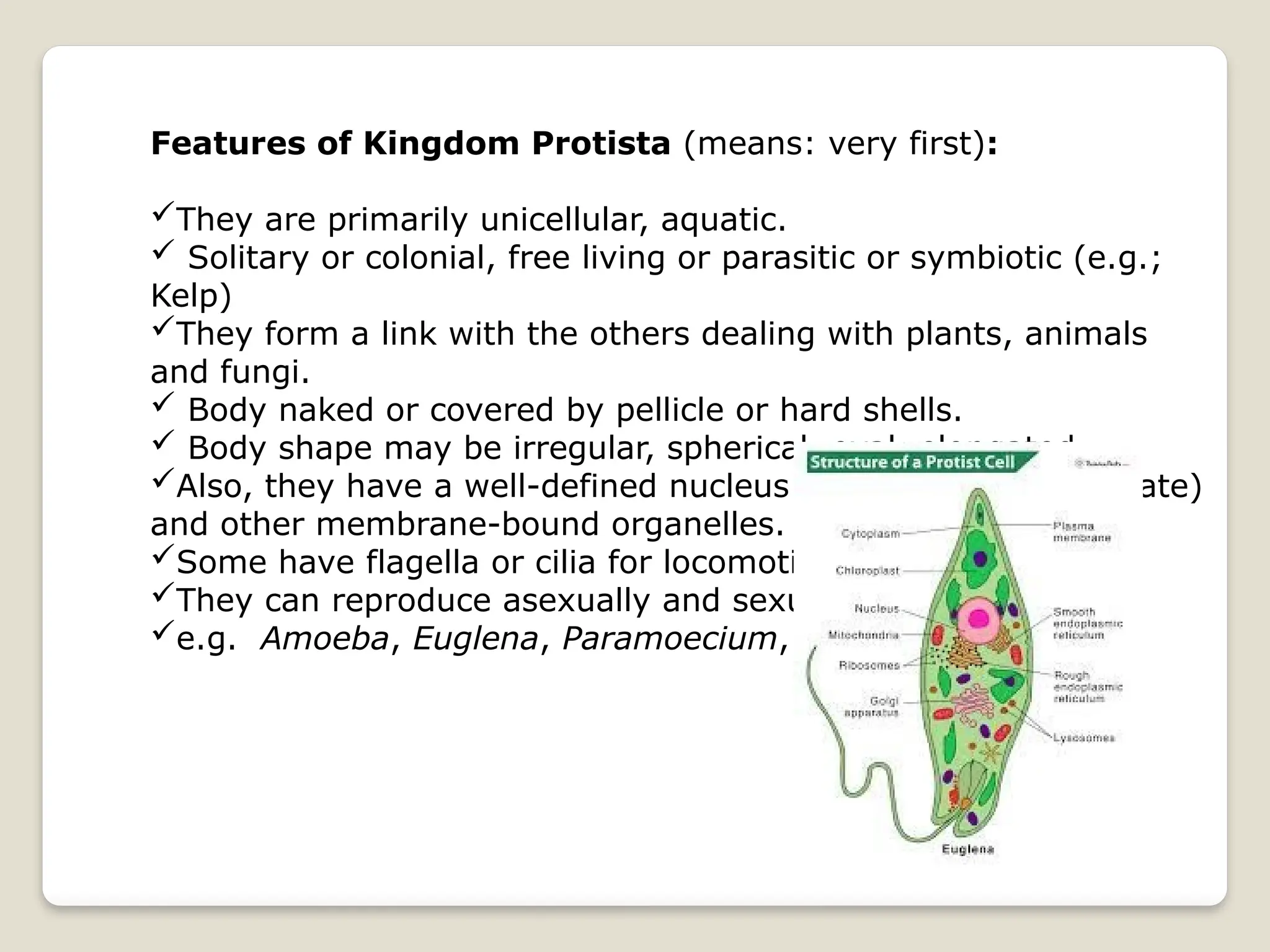 Kingdom Protista and its characteristics.pptx