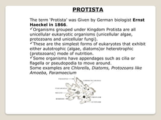 Kingdom Protista and its characteristics.pptx