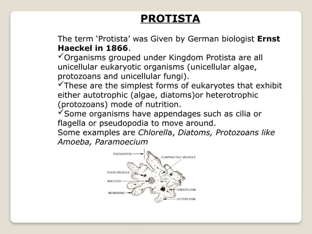 Kingdom Protista and its characteristics.pptx