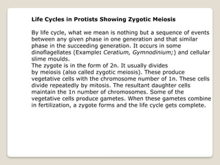 Kingdom Protista and its characteristics.pptx