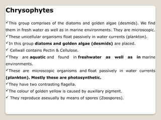 Kingdom Protista and its characteristics.pptx