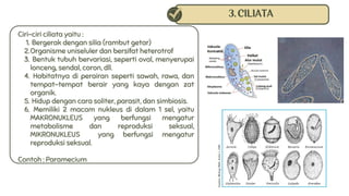 KINGDOM PROTISTA ATAU DUNIA ORGANISME.pdf