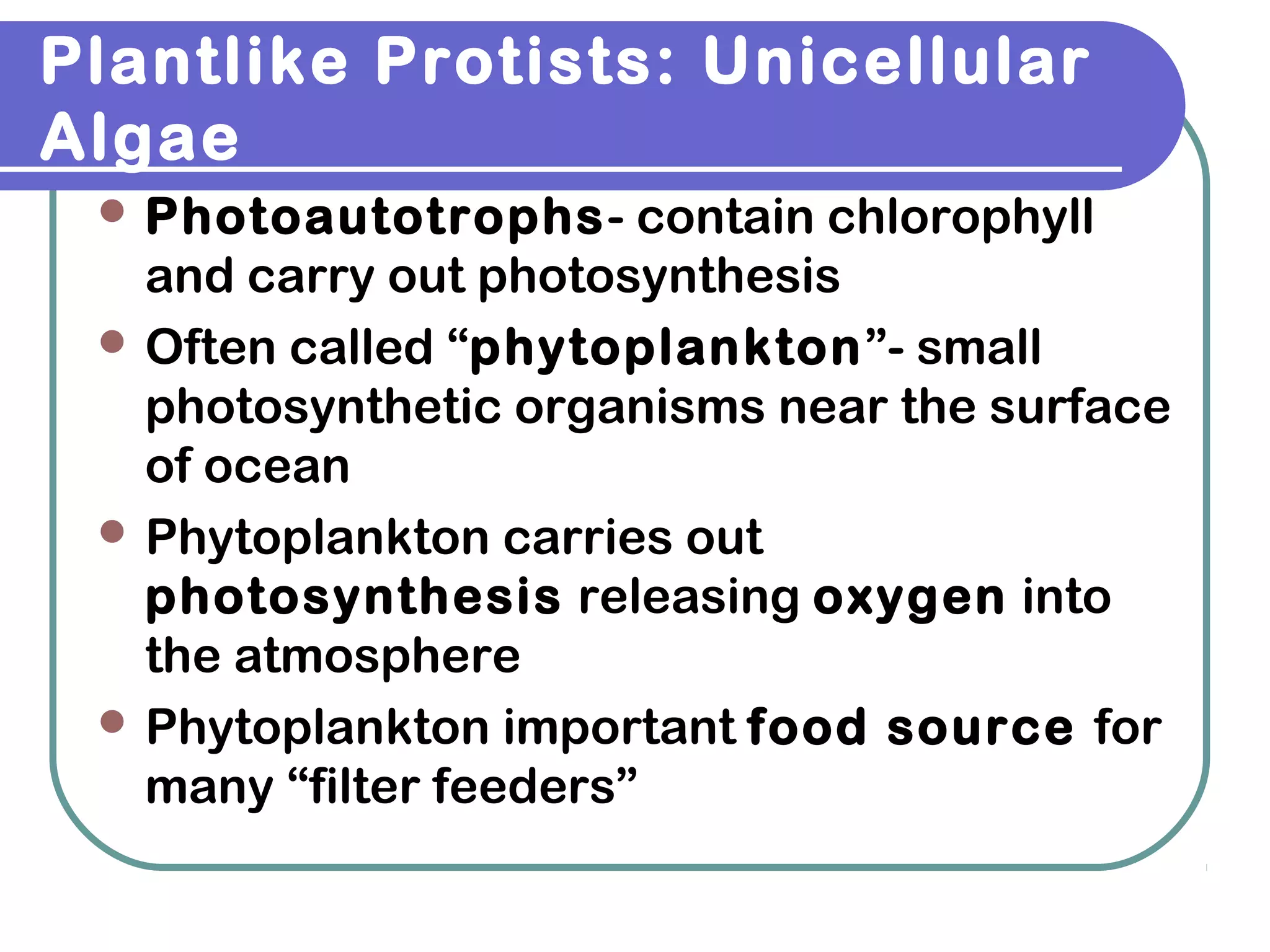 Kingdom protista[1] | PPT