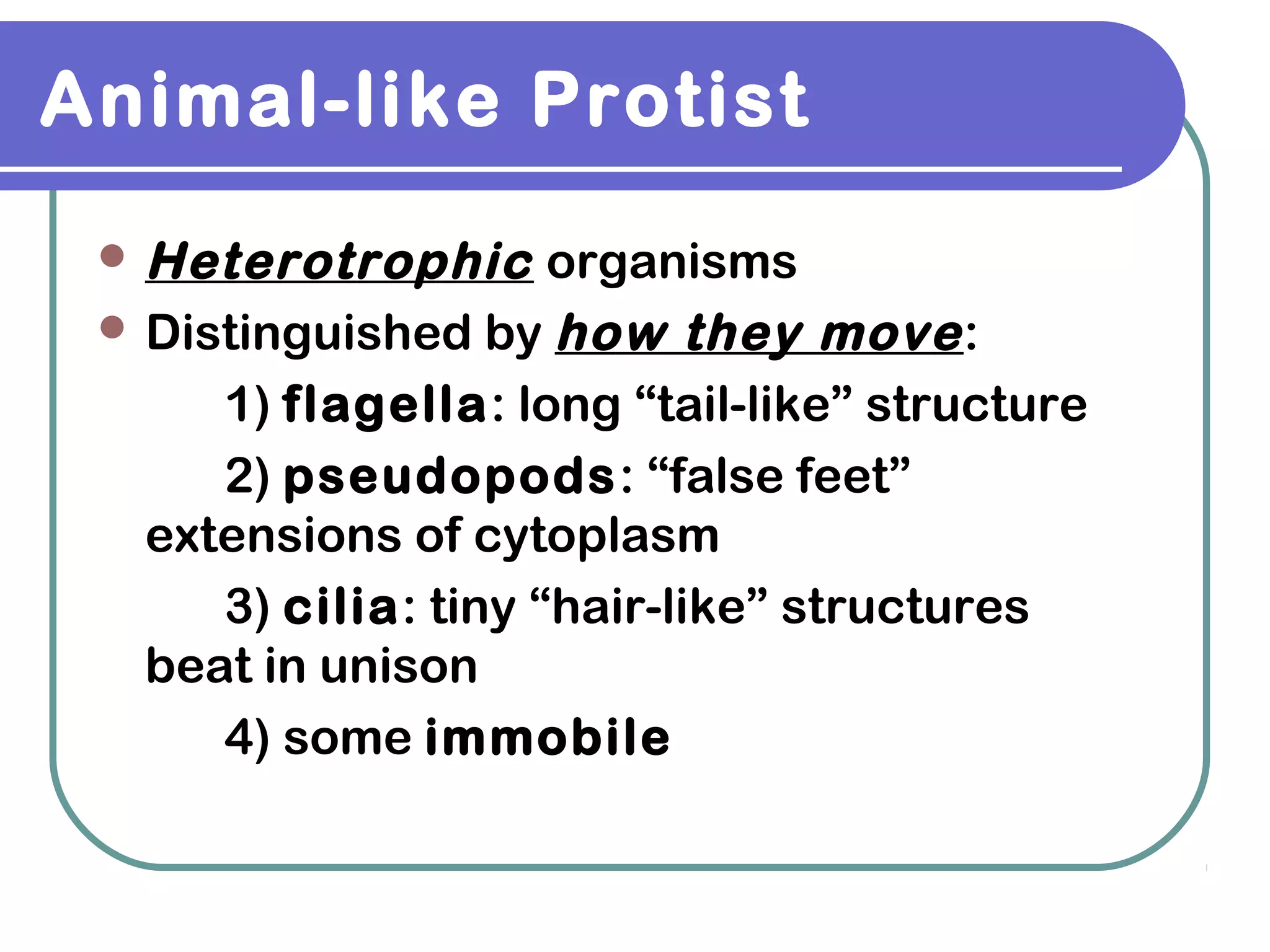 Kingdom protista[1] | PPT