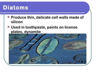 Kingdom protista[1] | PPT