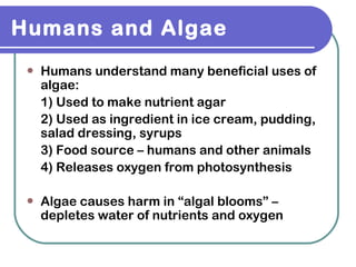 Kingdom protista[1] | PPT