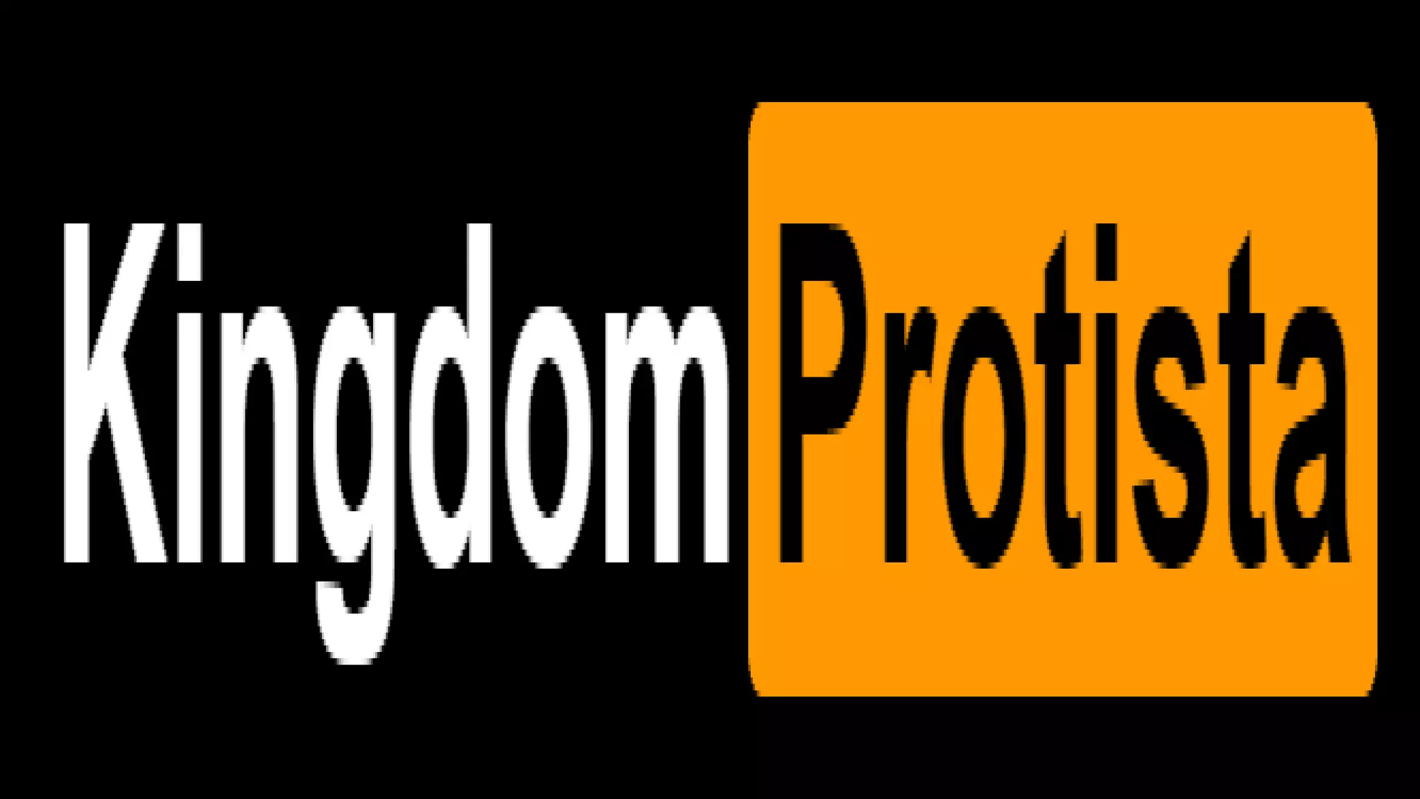 Kingdom Protist Power Point Presentation | PPTX