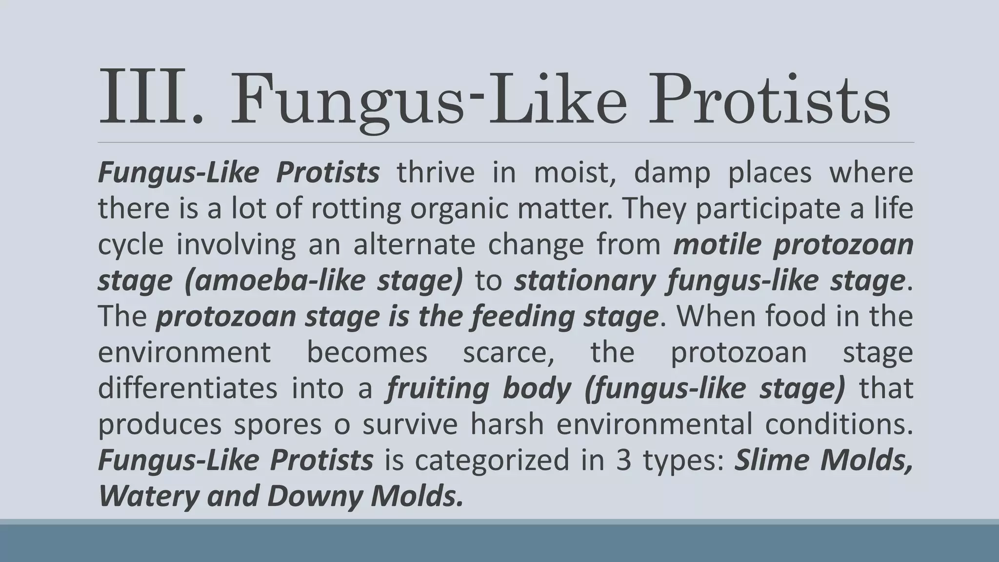 Kingdom Protist Power Point Presentation | PPTX