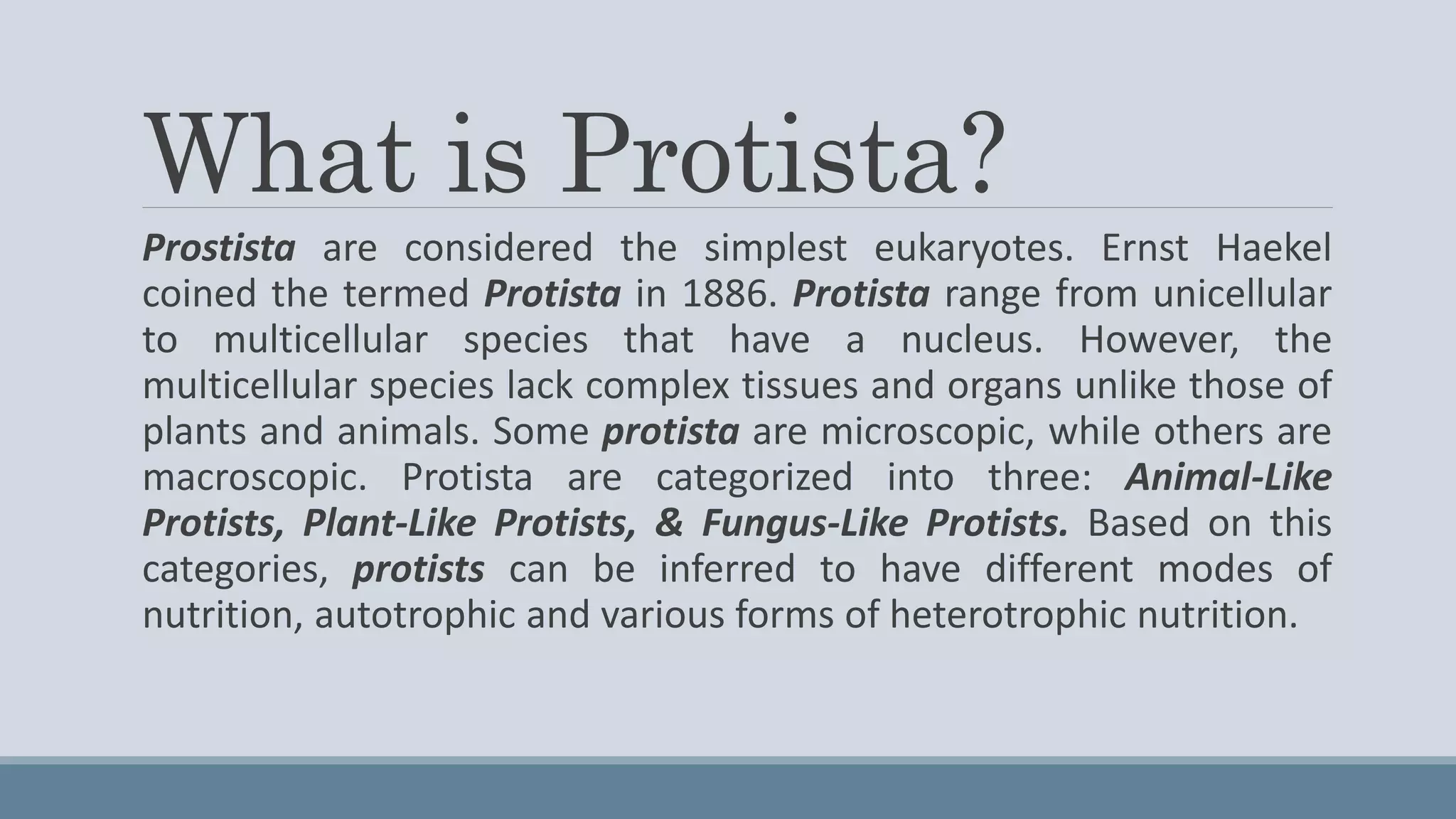 Kingdom Protist Power Point Presentation | PPTX