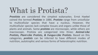 Kingdom Protist Power Point Presentation | PPTX | Biological Sciences ...