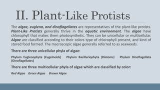 Kingdom Protist Power Point Presentation | PPTX