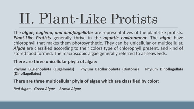 Kingdom Protist Power Point Presentation | PPTX | Biological Sciences | Science