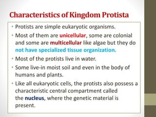 Kingdom protists | PPT