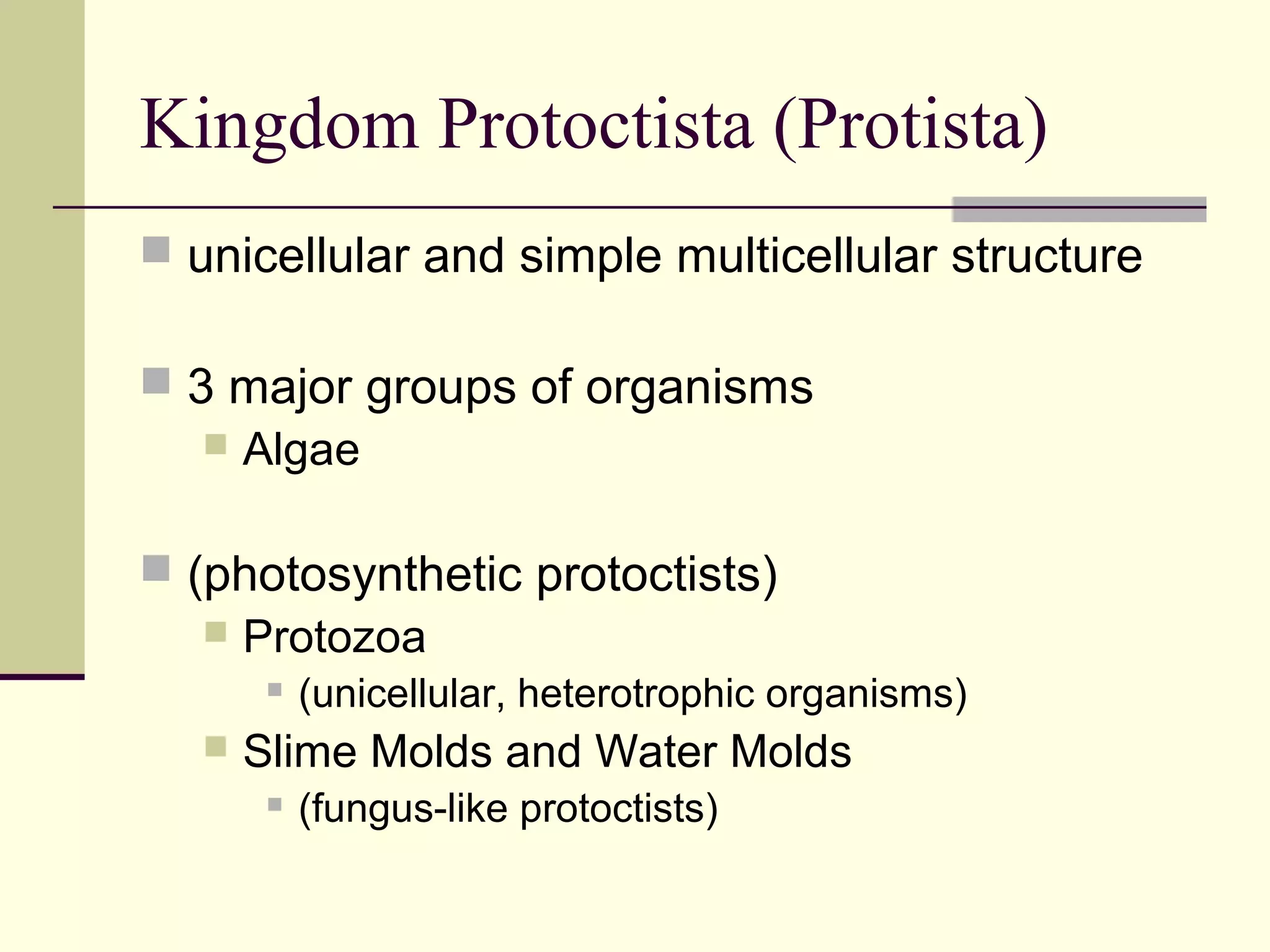 Kingdom protoctista (protista) | PPT