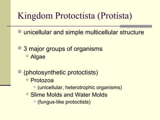 Kingdom protoctista (protista) | PPT