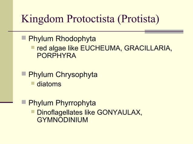 Kingdom protoctista (protista) | PPT | Biological Sciences | Science