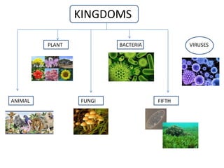 Kingdoms | PPTX | Biological Sciences | Science