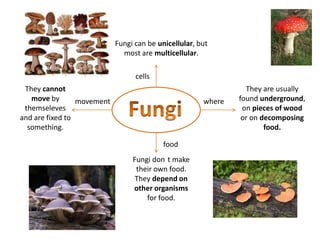 Kingdoms | PPTX | Biological Sciences | Science