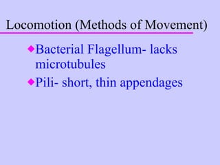 Kingdoms archaebacteria | PPT