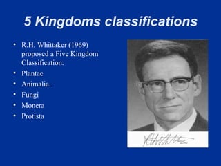 Kingdoms of classification | PPT