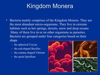 Kingdoms of classification | PPT